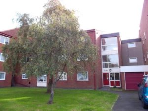 Home - Cumbria Homechoice